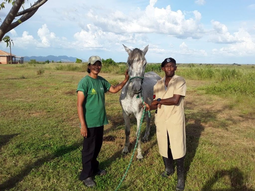 News – Santa Fe Farm